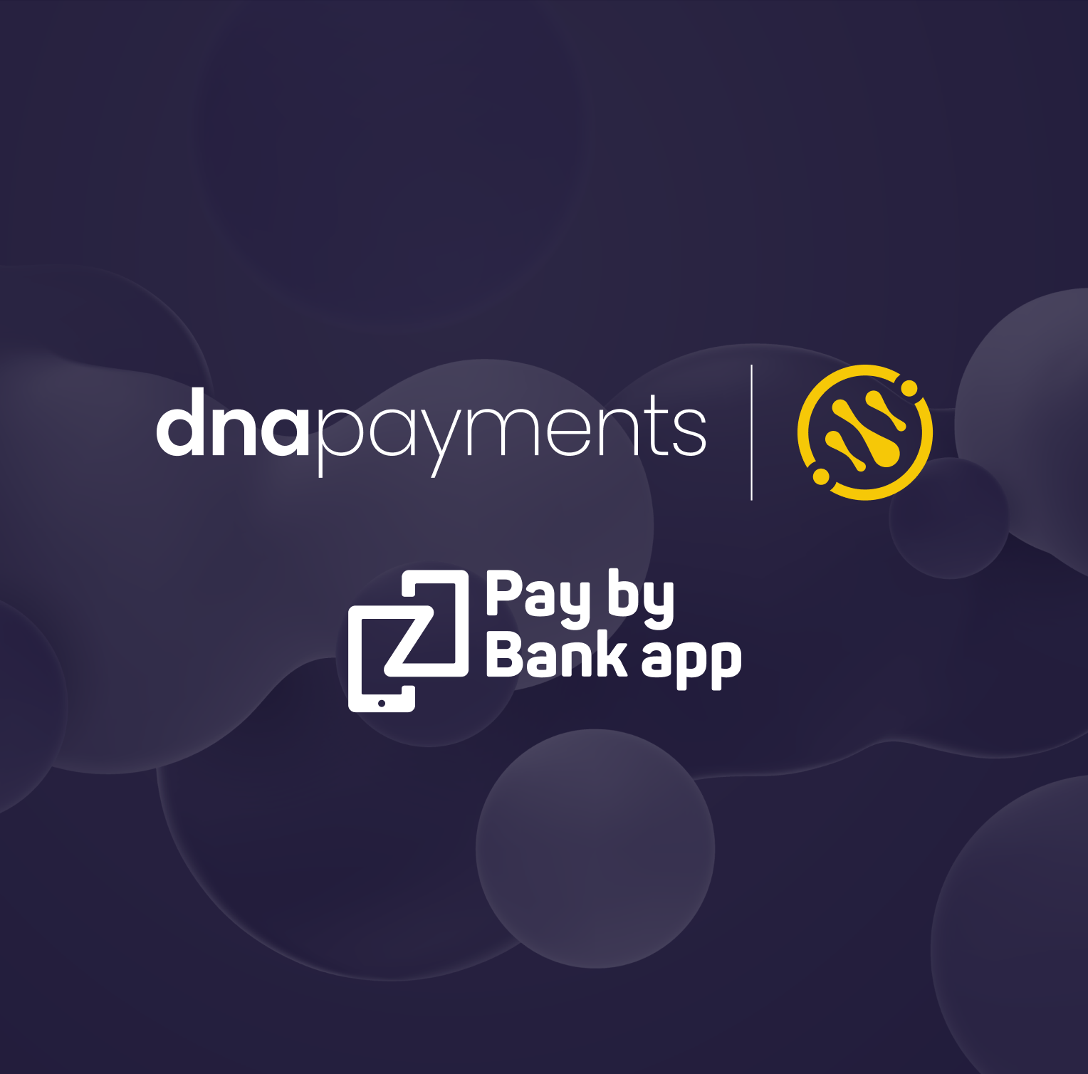 Our history | DNA Payments